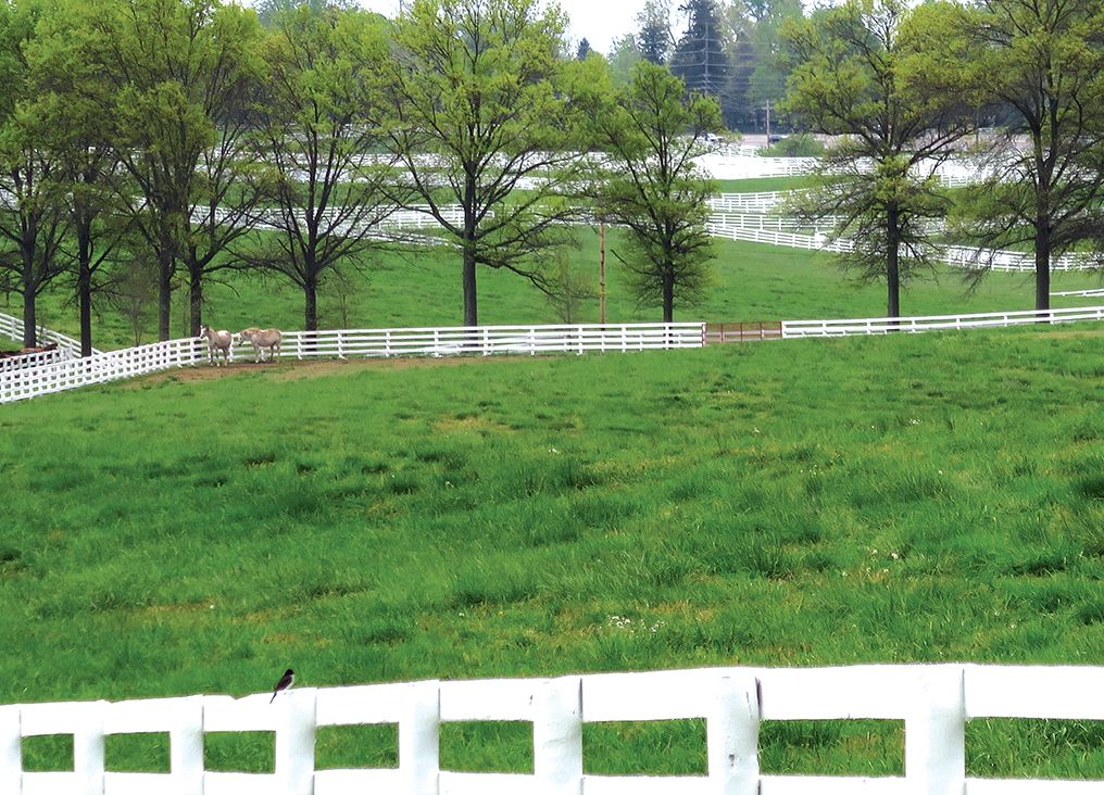Michael Morcos on LinkedIn: NORTHERN KENTUCKY SHINES… Michael Morcos on LinkedIn: NORTHERN KENTUCKY SHINES…