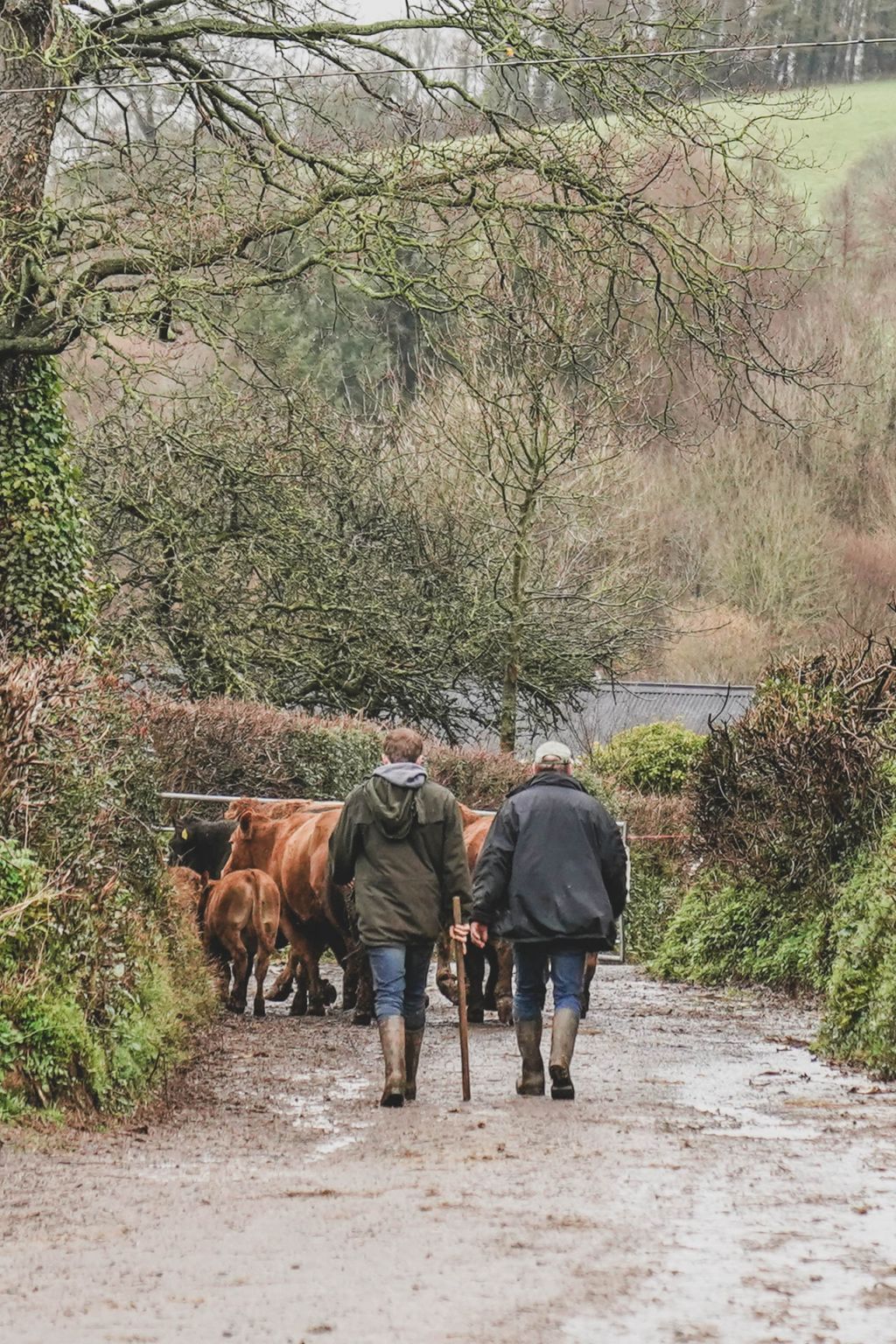 The Farming Community Network on LinkedIn: #farminghelp #farminguk # ... The Farming Community Network on LinkedIn: #farminghelp #farminguk # ...