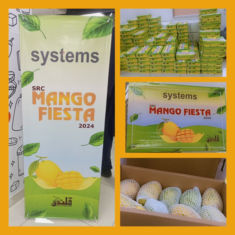 Haram Mukhtar on LinkedIn: #mangofiesta2024 #workculture # ... Haram Mukhtar on LinkedIn: #mangofiesta2024 #workculture # ...