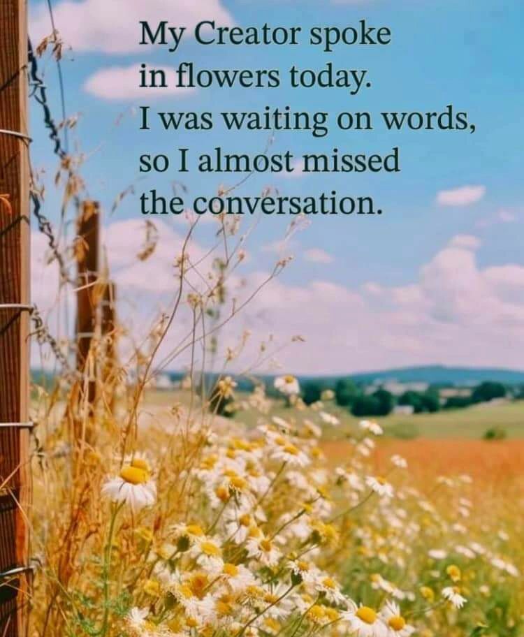 Caryl Anne on LinkedIn: Paying attention, God/Creator is everywhere present Caryl Anne on LinkedIn: Paying attention, God/Creator is everywhere present