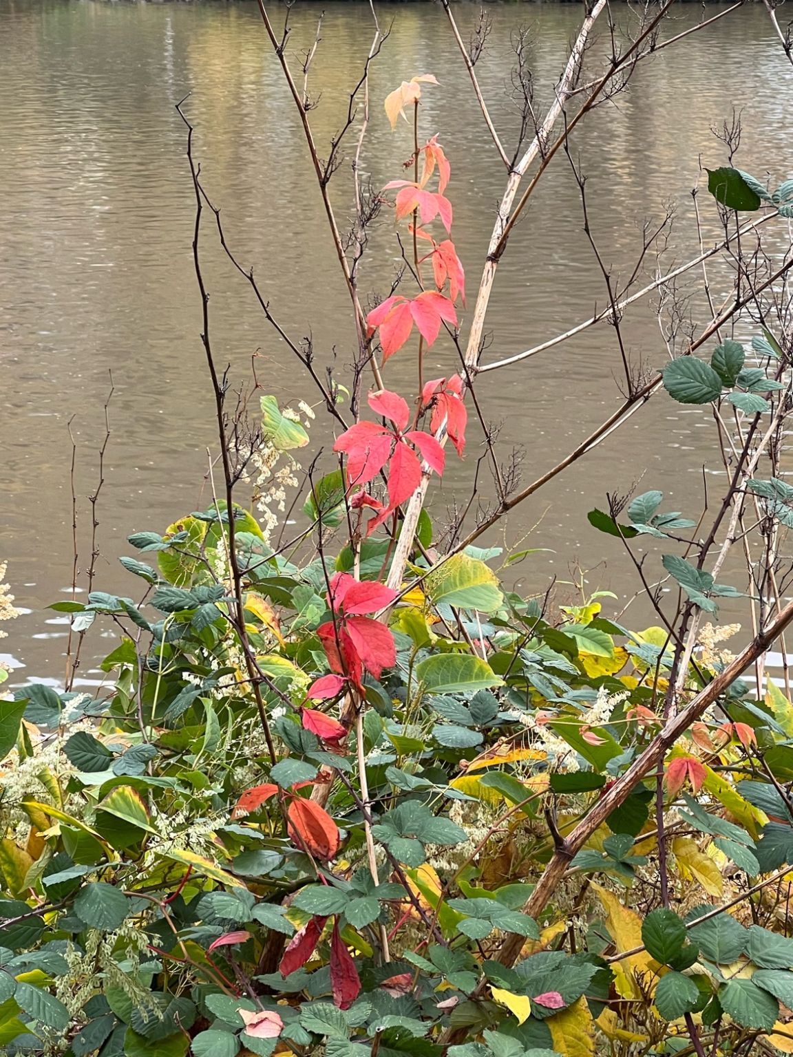 Zubin Nur Westrik on LinkedIn: The world Offers us so much Beauty, So ... Zubin Nur Westrik on LinkedIn: The world Offers us so much Beauty, So ...