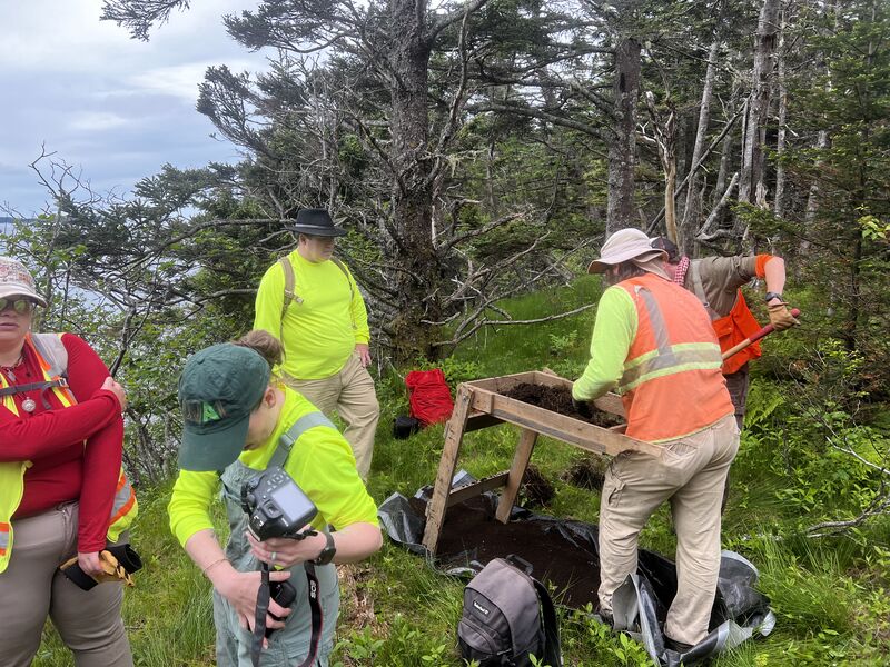 Stefan Claesson on LinkedIn: #archaeology Stefan Claesson on LinkedIn: #archaeology