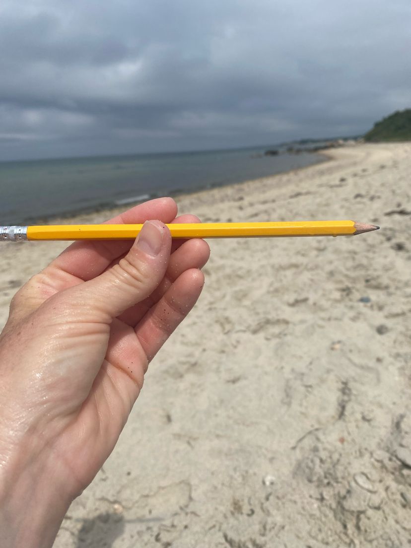 Nan Price on LinkedIn: When your brand randomly appears in nature… Nan Price on LinkedIn: When your brand randomly appears in nature…