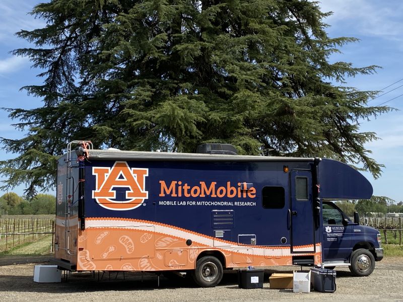 Auburn University Research & Economic Development on LinkedIn: Auburn ... Auburn University Research & Economic Development on LinkedIn: Auburn ...