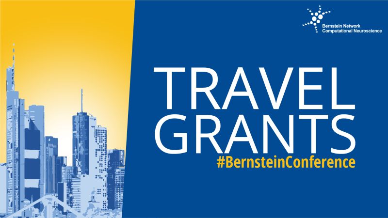 Bernstein Network Computational Neuroscience on LinkedIn: # ... Bernstein Network Computational Neuroscience on LinkedIn: # ...
