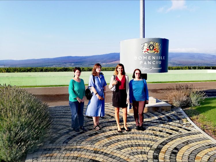 Roxana PUSCASU on LinkedIn: Visite de travail 🍷Casa Panciu - 🍎🍏🧃Ana are ... Roxana PUSCASU on LinkedIn: Visite de travail 🍷Casa Panciu - 🍎🍏🧃Ana are ...