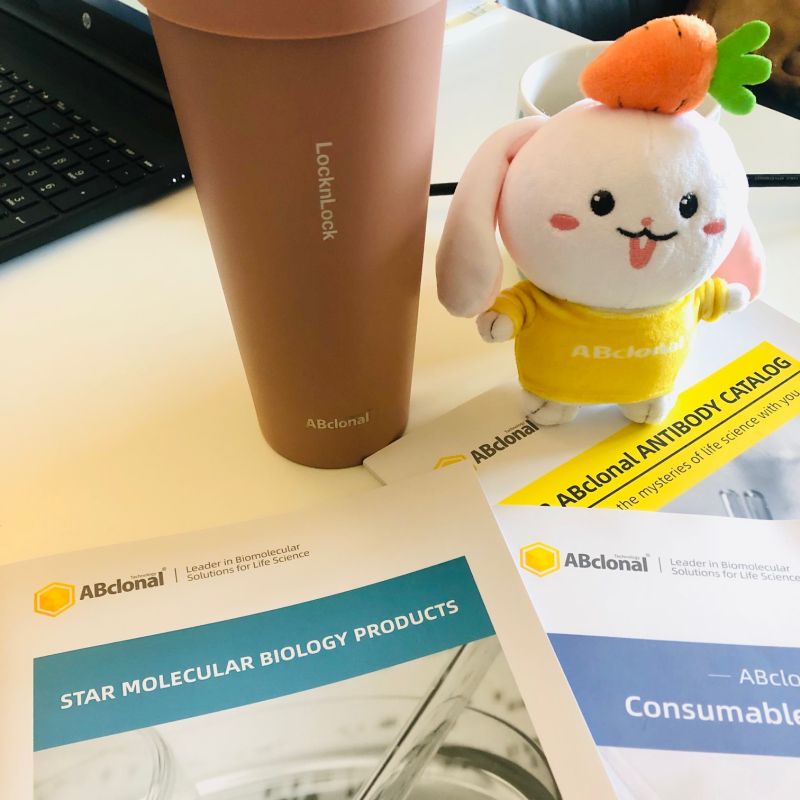 Sara Albarran on LinkedIn: #newjob #antibodies #abclonal #discount | 18 ... Sara Albarran on LinkedIn: #newjob #antibodies #abclonal #discount | 18 ...