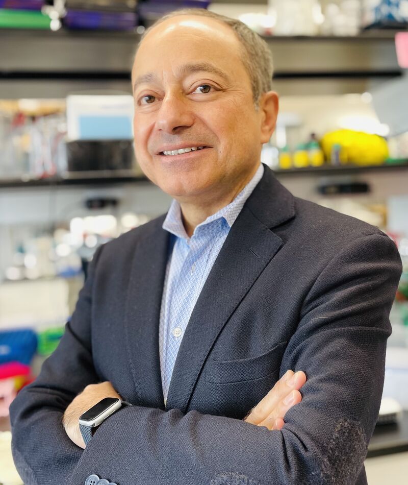 Dhiraj Kumar on LinkedIn: #cancer #metastasis | 44 comments Dhiraj Kumar on LinkedIn: #cancer #metastasis | 44 comments