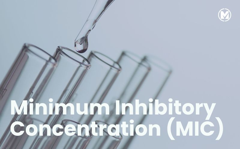 Microchem Laboratory on LinkedIn: Minimum Inhibitory Concentration Test ... Microchem Laboratory on LinkedIn: Minimum Inhibitory Concentration Test ...