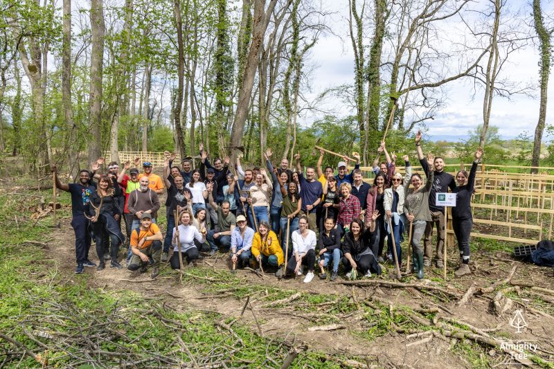 Almighty Tree on LinkedIn: UBP - Union Bancaire Privée and its ... Almighty Tree on LinkedIn: UBP - Union Bancaire Privée and its ...