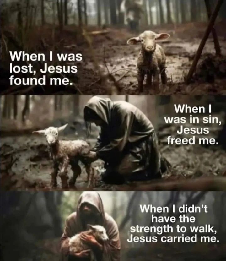 Moses Popescu on LinkedIn: My Savior .. Amen 🙏 | 14 comments Moses Popescu on LinkedIn: My Savior .. Amen 🙏 | 14 comments