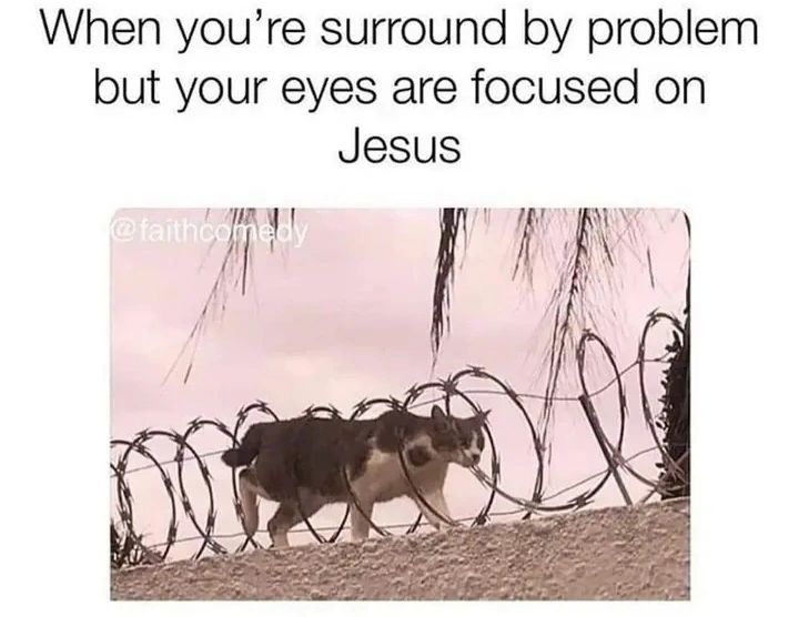 Moses Popescu on LinkedIn: The Lord will guide you through the toughest ... Moses Popescu on LinkedIn: The Lord will guide you through the toughest ...