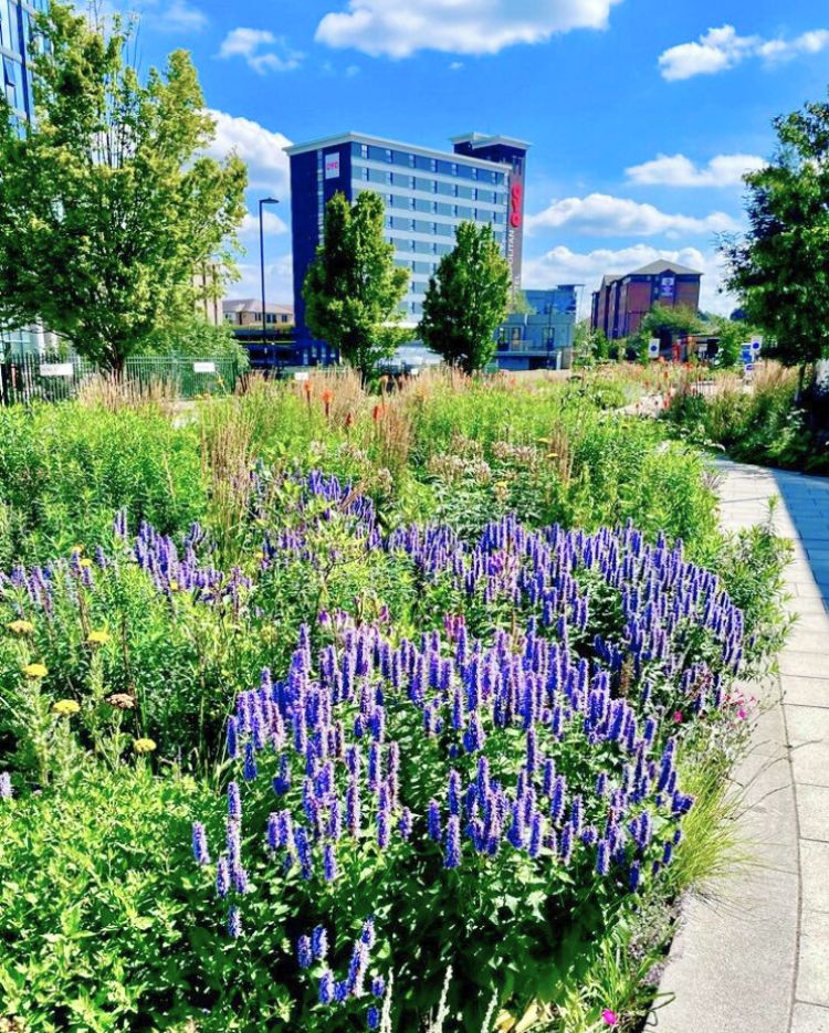 SHEFFIELD HOUSING COMPANY LIMITED on LinkedIn: #sheffield # ... SHEFFIELD HOUSING COMPANY LIMITED on LinkedIn: #sheffield # ...