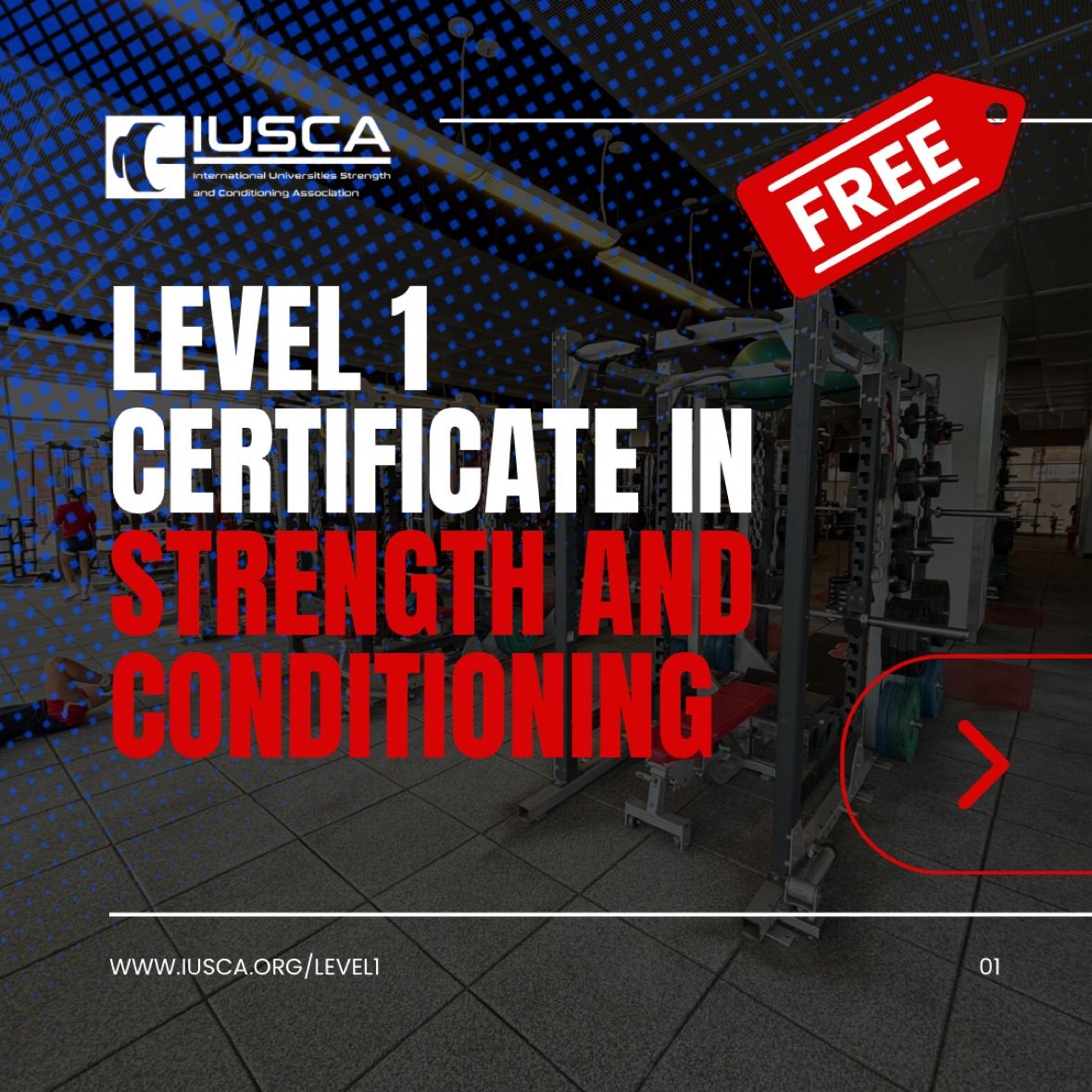 IUSCA on LinkedIn: š„Introducing⦠IQF Level 1 Certificate in Strength and⦠IUSCA on LinkedIn: š„Introducing⦠IQF Level 1 Certificate in Strength andā¦