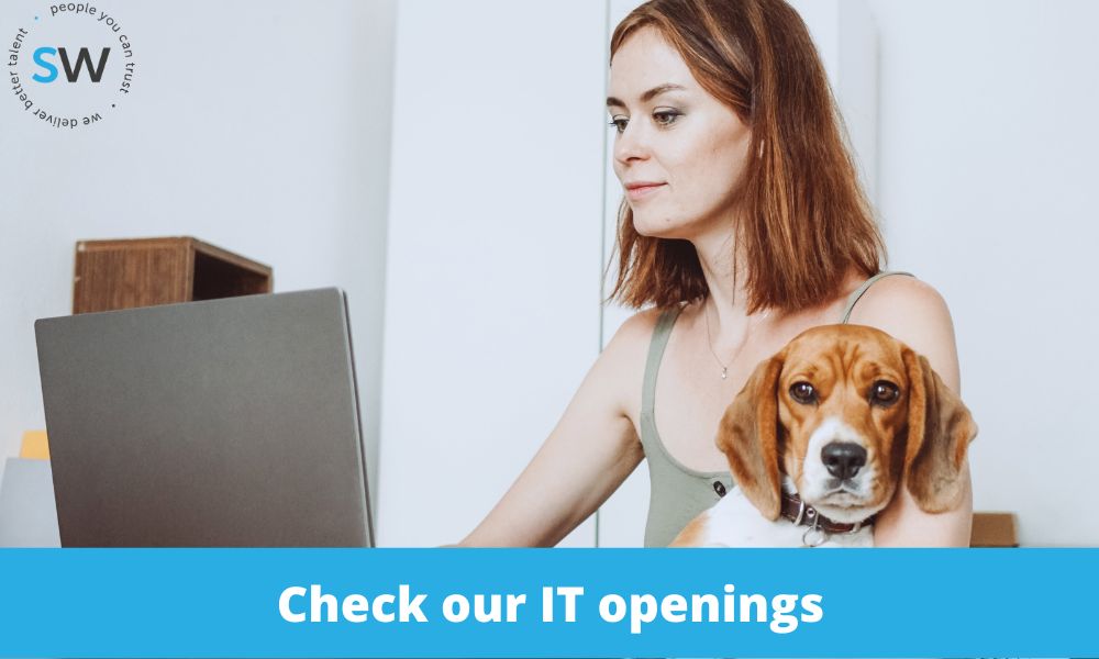 SmartWays Recruitment on LinkedIn: #java #developer #python #vuejs # ... SmartWays Recruitment on LinkedIn: #java #developer #python #vuejs # ...