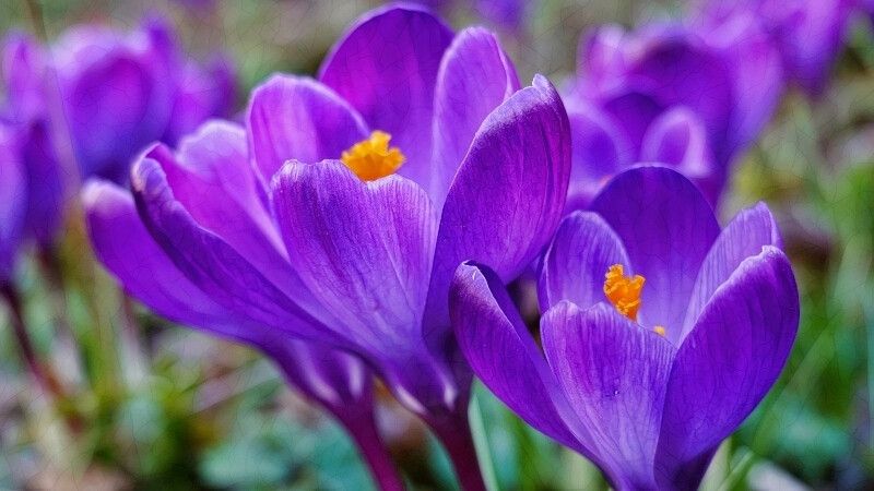 Williamson Source on LinkedIn: OBITUARY: Shirley Ann Mosley McCord Williamson Source on LinkedIn: OBITUARY: Shirley Ann Mosley McCord