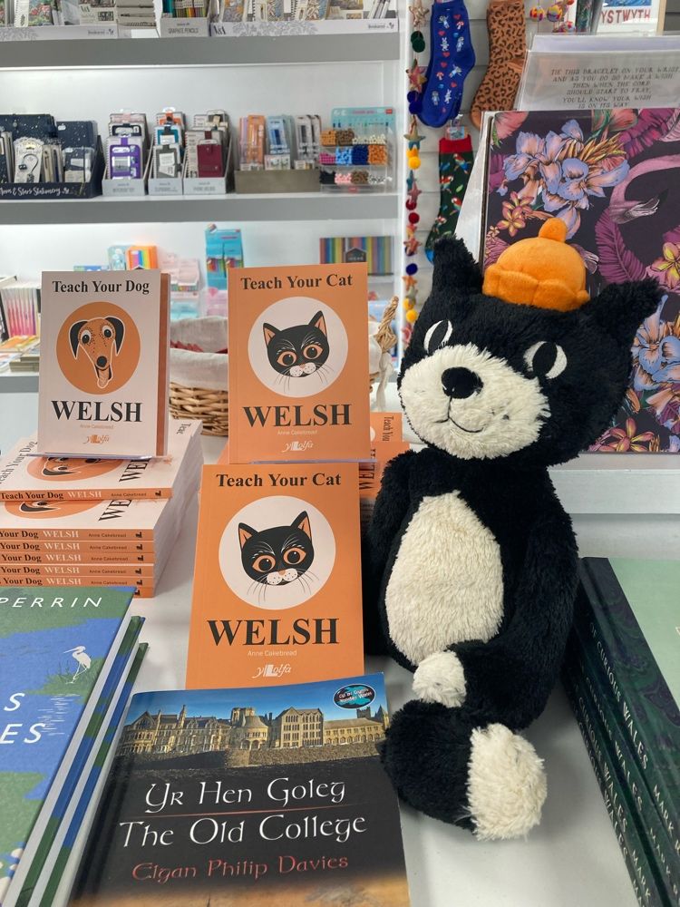 Anne Cakebread on LinkedIn: #welshcat #welshdog #teachyourdog # ... Anne Cakebread on LinkedIn: #welshcat #welshdog #teachyourdog # ...