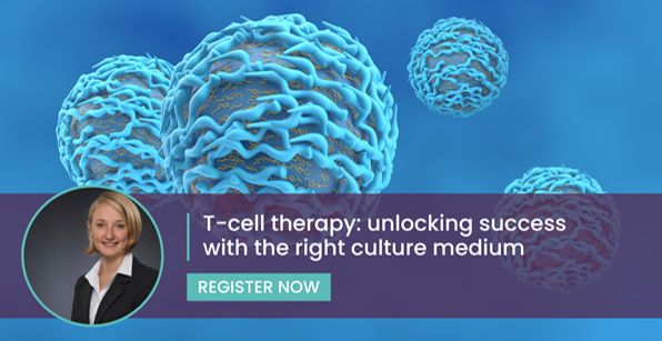 Vinay Murtadak, Ph.D. on LinkedIn: T-cell therapy: unlocking success ... Vinay Murtadak, Ph.D. on LinkedIn: T-cell therapy: unlocking success ...