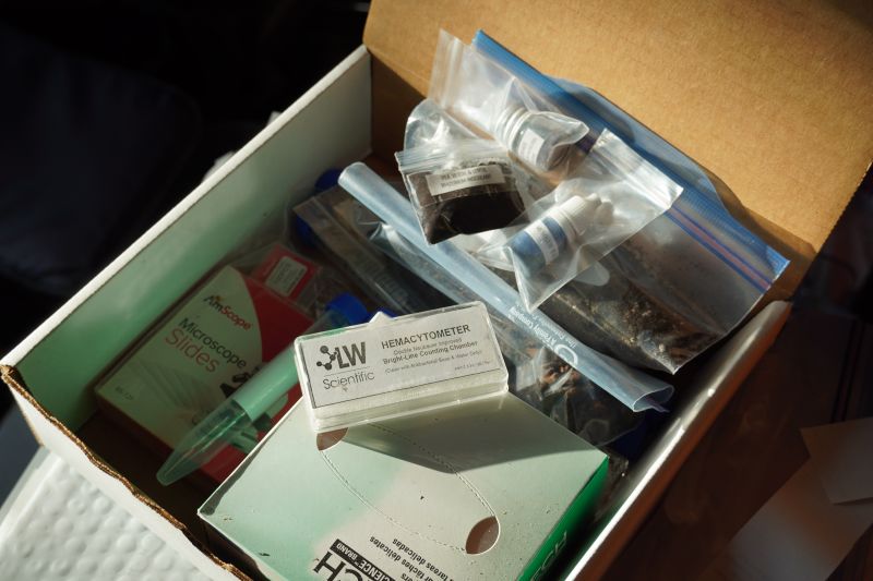Matt Powers on LinkedIn: #soil #microscopy Matt Powers on LinkedIn: #soil #microscopy
