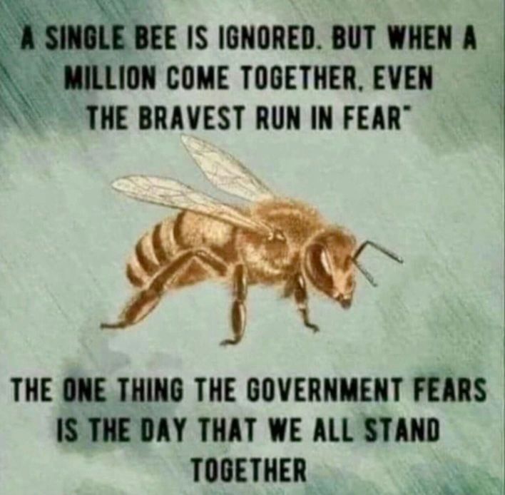 Moses Popescu on LinkedIn: United we stand, divided we fall; there is ... Moses Popescu on LinkedIn: United we stand, divided we fall; there is ...