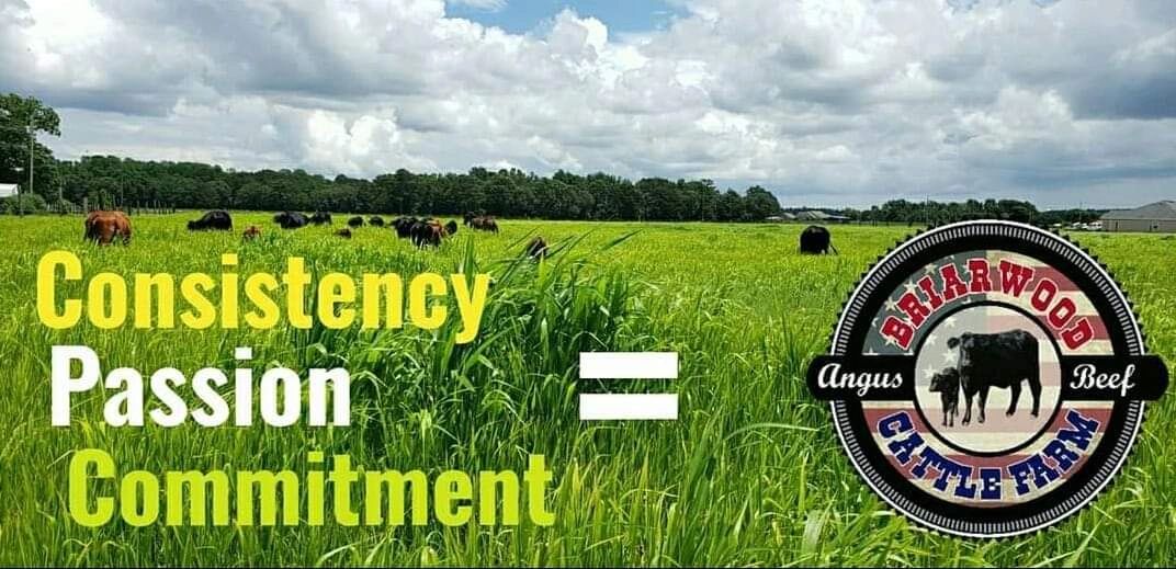 Marvin Frink on LinkedIn: Let's Talk Beef At Briarwood Cattle Farm, we ... Marvin Frink on LinkedIn: Let's Talk Beef At Briarwood Cattle Farm, we ...