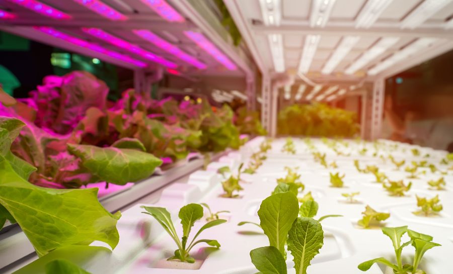 Indoor AgTech on LinkedIn: Get Ready for the 2023 Indoor AgTech ... Indoor AgTech on LinkedIn: Get Ready for the 2023 Indoor AgTech ...