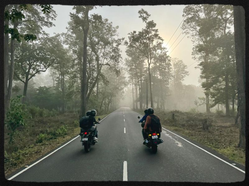 Afsal Mubarak P on LinkedIn: #intothewild #naturelovers #squadgoals Afsal Mubarak P on LinkedIn: #intothewild #naturelovers #squadgoals
