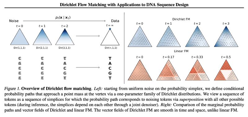 How Dirichlet flow matching for DNA Sequence Design | Hannes Stärk ... How Dirichlet flow matching for DNA Sequence Design | Hannes Stärk ...