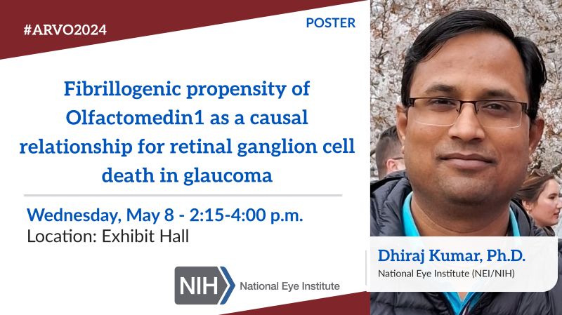 National Eye Institute (NEI) on LinkedIn: #nei #arvo2024 National Eye Institute (NEI) on LinkedIn: #nei #arvo2024