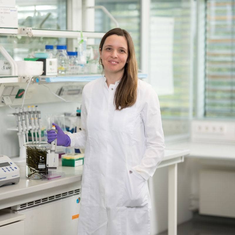 Max Planck Institute for Biology Tübingen on LinkedIn: The Postdoc ... Max Planck Institute for Biology Tübingen on LinkedIn: The Postdoc ...