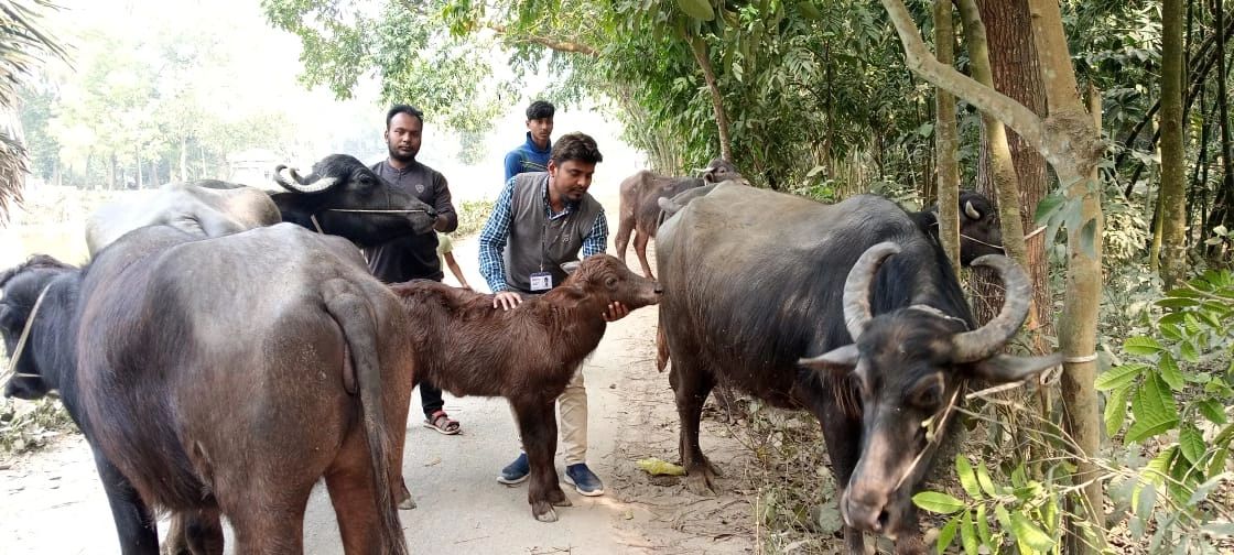 Farukul Islam, PhD on LinkedIn: at a mobile veterinary clinic, vs of ... Farukul Islam, PhD on LinkedIn: at a mobile veterinary clinic, vs of ...