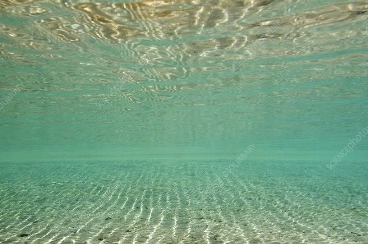 Sunday Kolajo on LinkedIn: How deep is Shallow Water? Sunday Kolajo on LinkedIn: How deep is Shallow Water?