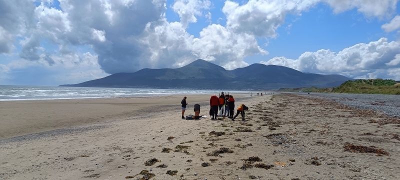 Tatiana Trohin on LinkedIn: We spent a great day volunteering at the ... Tatiana Trohin on LinkedIn: We spent a great day volunteering at the ...