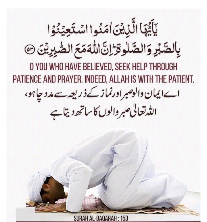 Rana Muhammad Tahir posted on LinkedIn Rana Muhammad Tahir posted on LinkedIn
