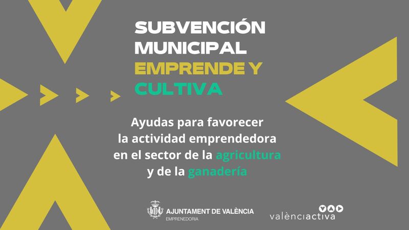València Activa en LinkedIn: 🚜 Ya pueden solicitarse las ayudas ... València Activa en LinkedIn: 🚜 Ya pueden solicitarse las ayudas ...
