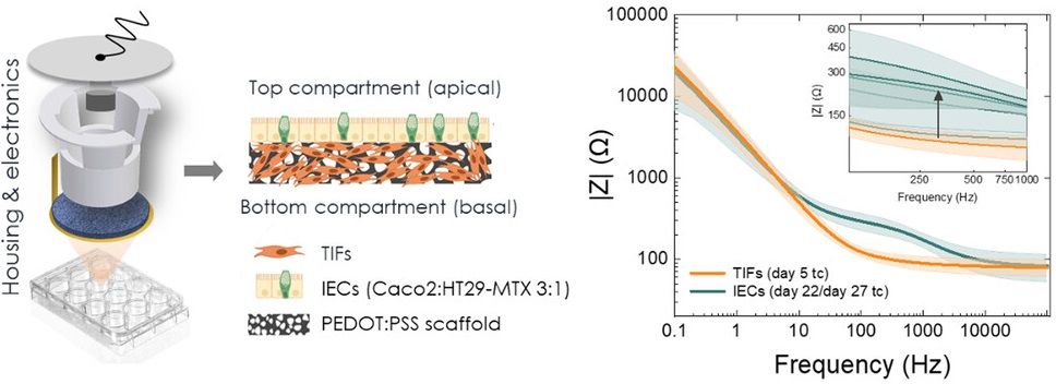 Bioelectronics Drop on LinkedIn: #bioelectronics #eis #pedot # ... Bioelectronics Drop on LinkedIn: #bioelectronics #eis #pedot # ...