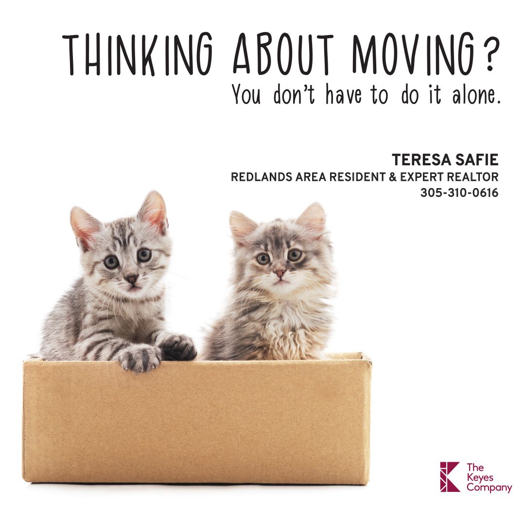 Teresa Safie, SRES, PSA, E-PRO, SFR, on LinkedIn: #realestate # ... Teresa Safie, SRES, PSA, E-PRO, SFR, on LinkedIn: #realestate # ...
