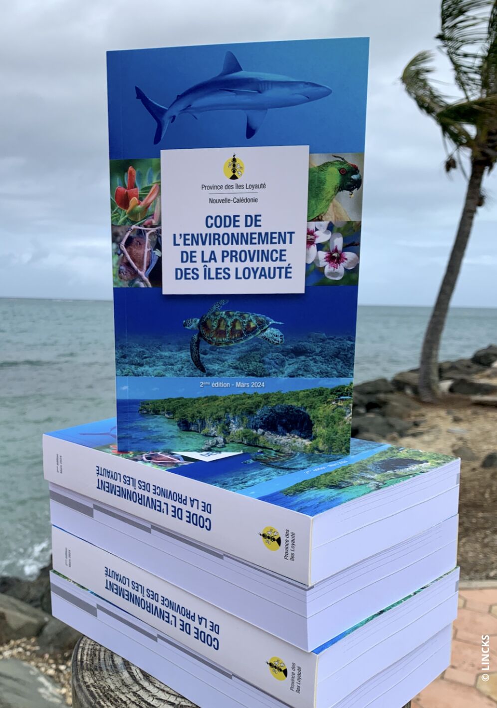 Emmanuel Bonnet on LinkedIn: Well done Estelle Bonnet-Vidal Emmanuel Bonnet on LinkedIn: Well done Estelle Bonnet-Vidal