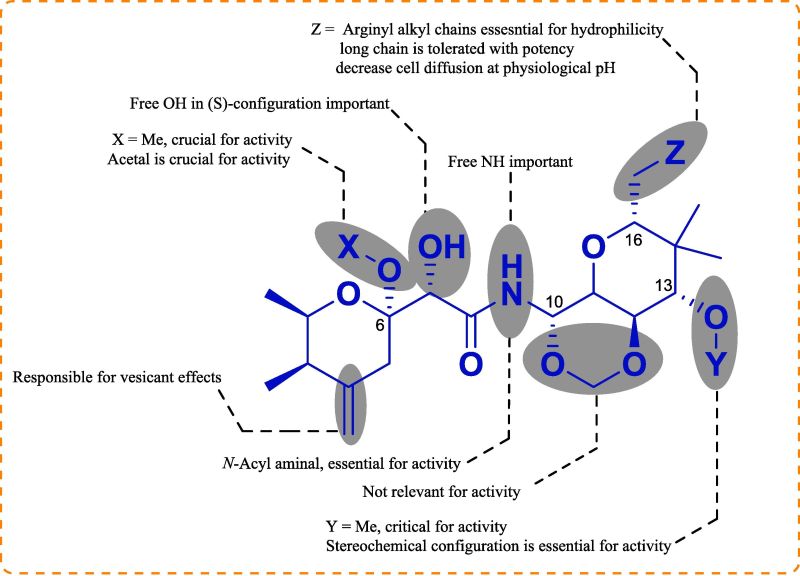 Amr El-Demerdash BSc Chem (Hons), PhD, AFHEA on LinkedIn: Fundamental ... Amr El-Demerdash BSc Chem (Hons), PhD, AFHEA on LinkedIn: Fundamental ...