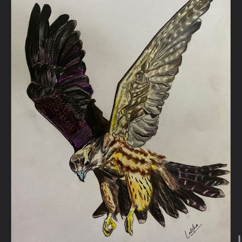 Latika Verma posted on LinkedIn Latika Verma posted on LinkedIn