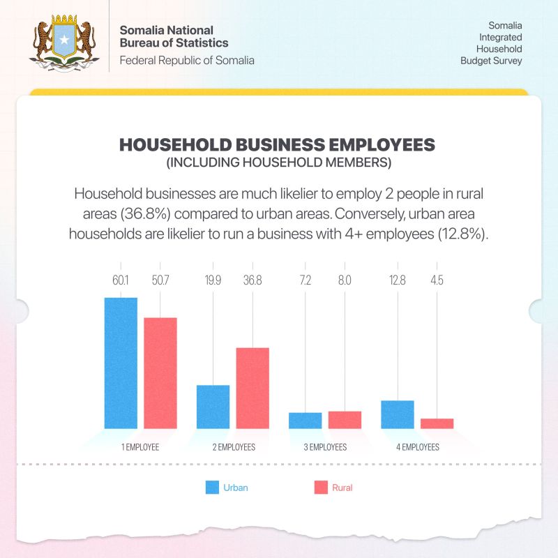 Mohamed Ahmed on LinkedIn: Urban household businesses employ more ... Mohamed Ahmed on LinkedIn: Urban household businesses employ more ...