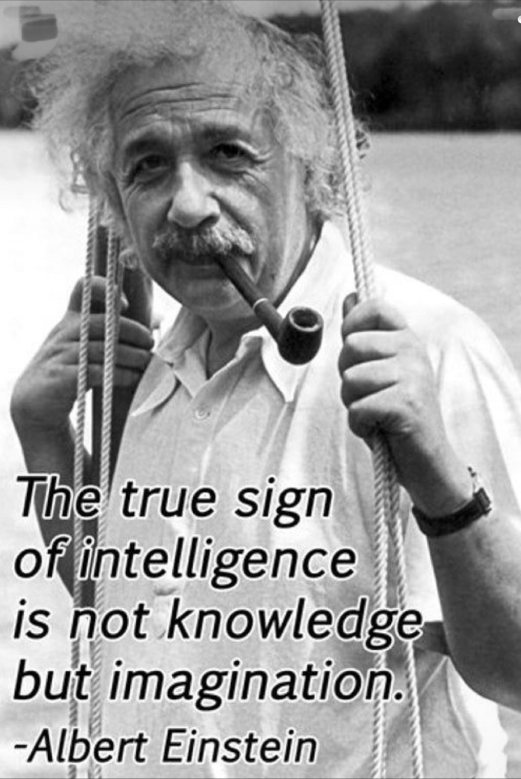 Wafia Durrani on LinkedIn: #alberteinstein #inspirationalquotes # ... Wafia Durrani on LinkedIn: #alberteinstein #inspirationalquotes # ...