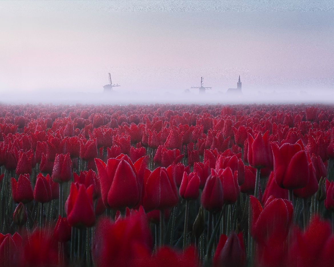 Guido Graas on LinkedIn: Spring has started and we are slowly getting ... Guido Graas on LinkedIn: Spring has started and we are slowly getting ...