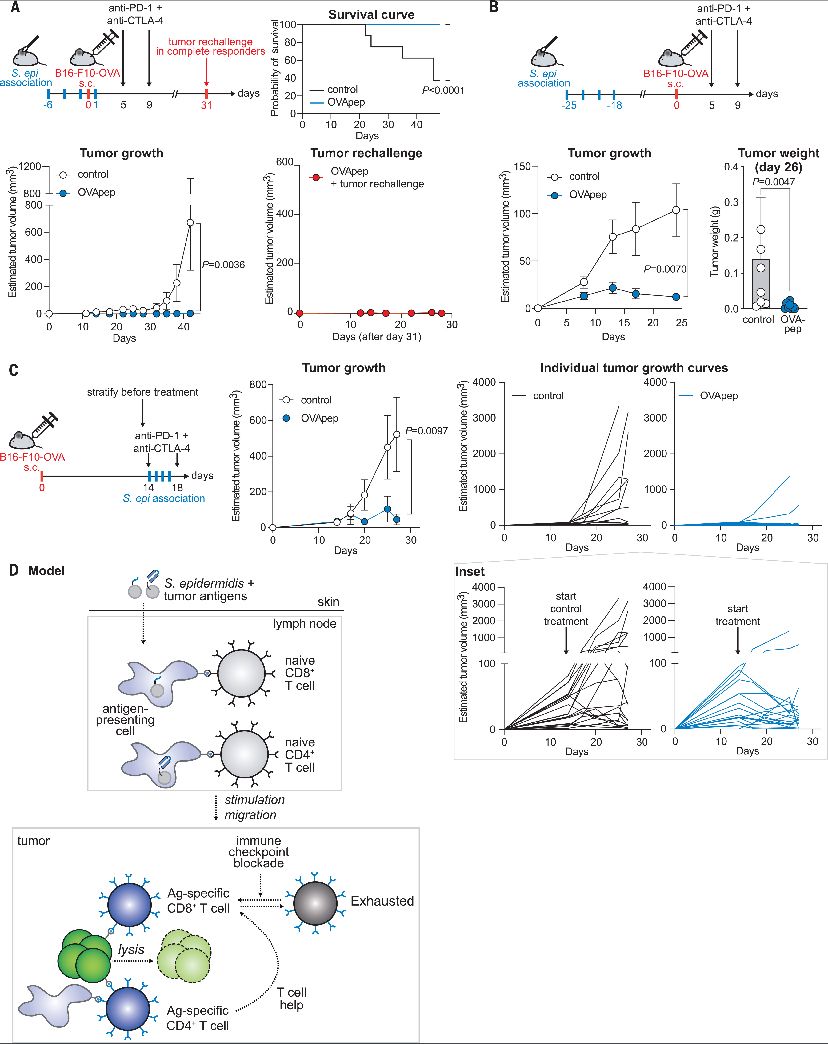 Sumeet Pandey, PhD auf LinkedIn: #engineered #bacteria #microbiome # ... Sumeet Pandey, PhD auf LinkedIn: #engineered #bacteria #microbiome # ...