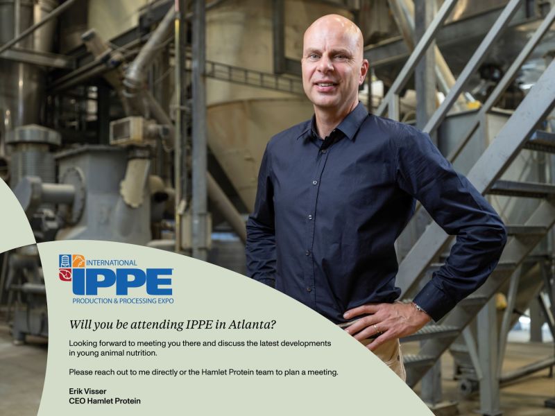 Angela Mejia on LinkedIn: @hamlet protein Megan Bible Erik Visser Angela Mejia on LinkedIn: @hamlet protein Megan Bible Erik Visser