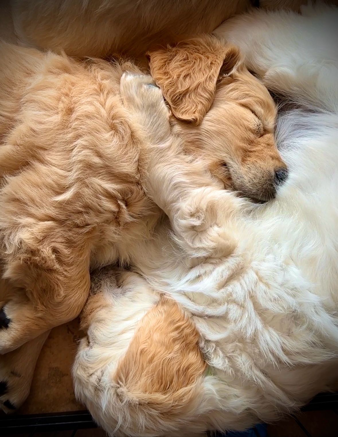 Nicki Cameron on LinkedIn: I had to jump on & share this pic 🧡 It’s ... Nicki Cameron on LinkedIn: I had to jump on & share this pic 🧡 It’s ...
