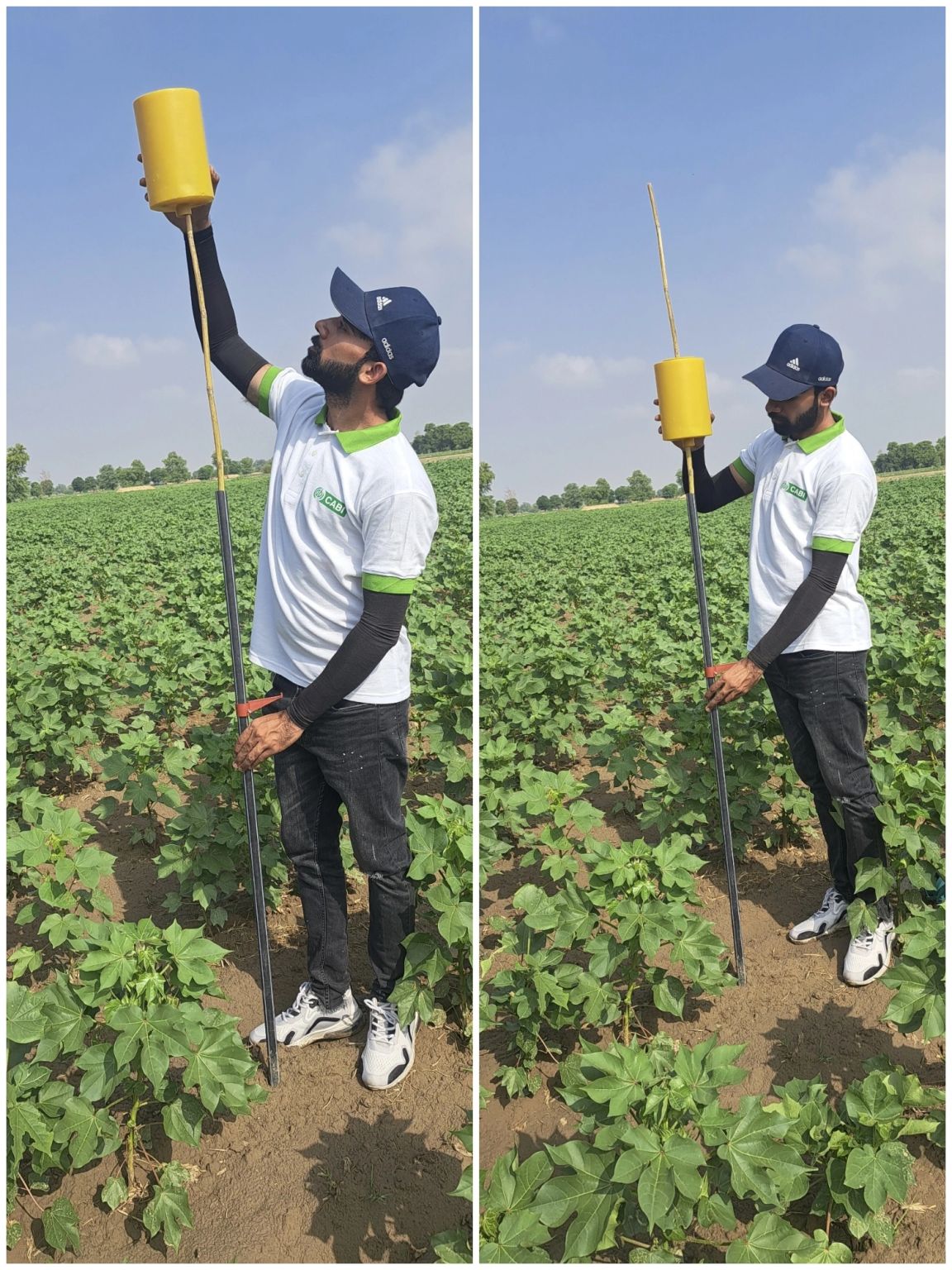 Usama Bin Tariq (Wahla) on LinkedIn: #cabi #bci # ... Usama Bin Tariq (Wahla) on LinkedIn: #cabi #bci # ...