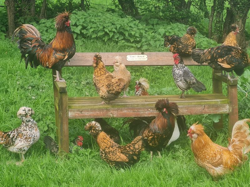 The Farming Community Network on LinkedIn: #farminghelp #farminglife # ... The Farming Community Network on LinkedIn: #farminghelp #farminglife # ...
