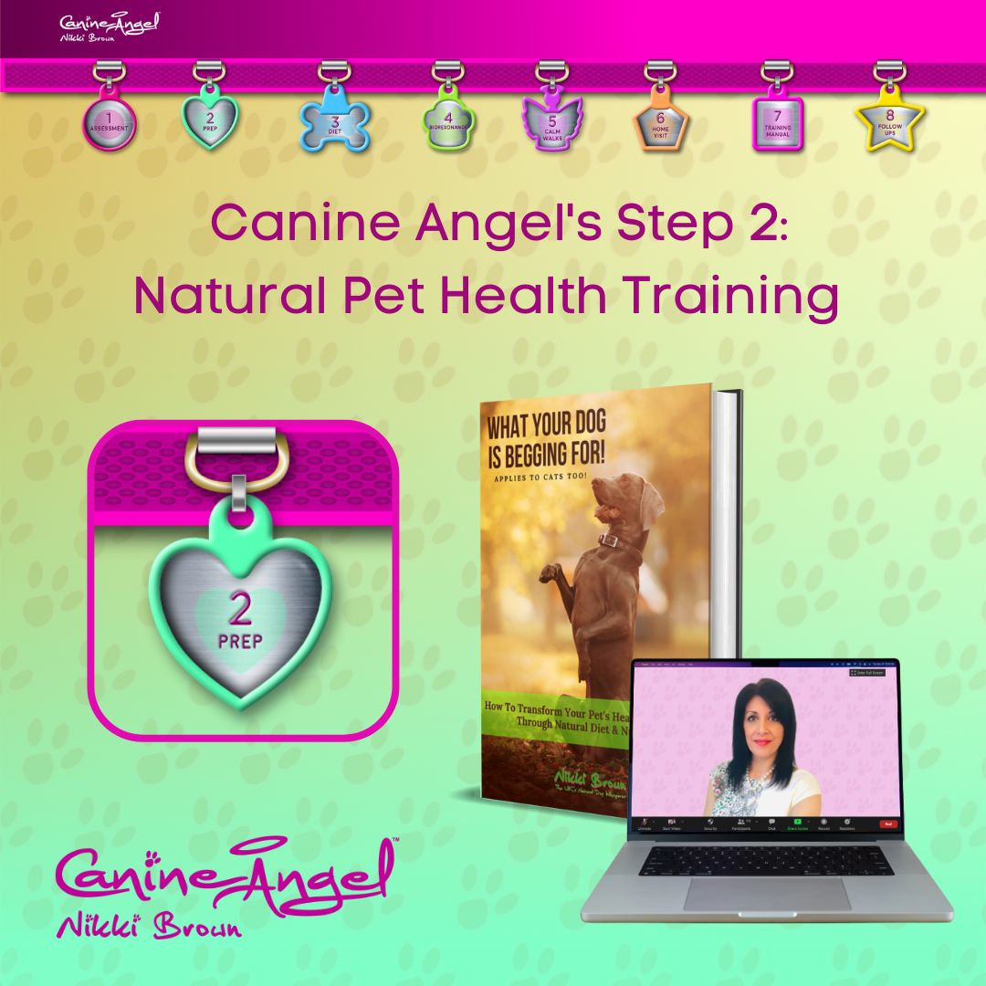 Canine Angel on LinkedIn: Canine Angels Step 2: Unlocking the Power of ... Canine Angel on LinkedIn: Canine Angels Step 2: Unlocking the Power of ...
