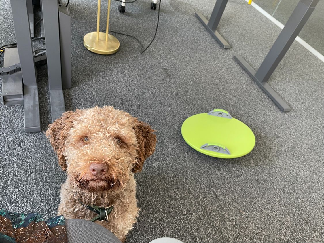 Claudia Vlach on LinkedIn: Office life @ msg Plaut Austria GmbH ️ ️ ️ ... Claudia Vlach on LinkedIn: Office life @ msg Plaut Austria GmbH ️ ️ ️ ...